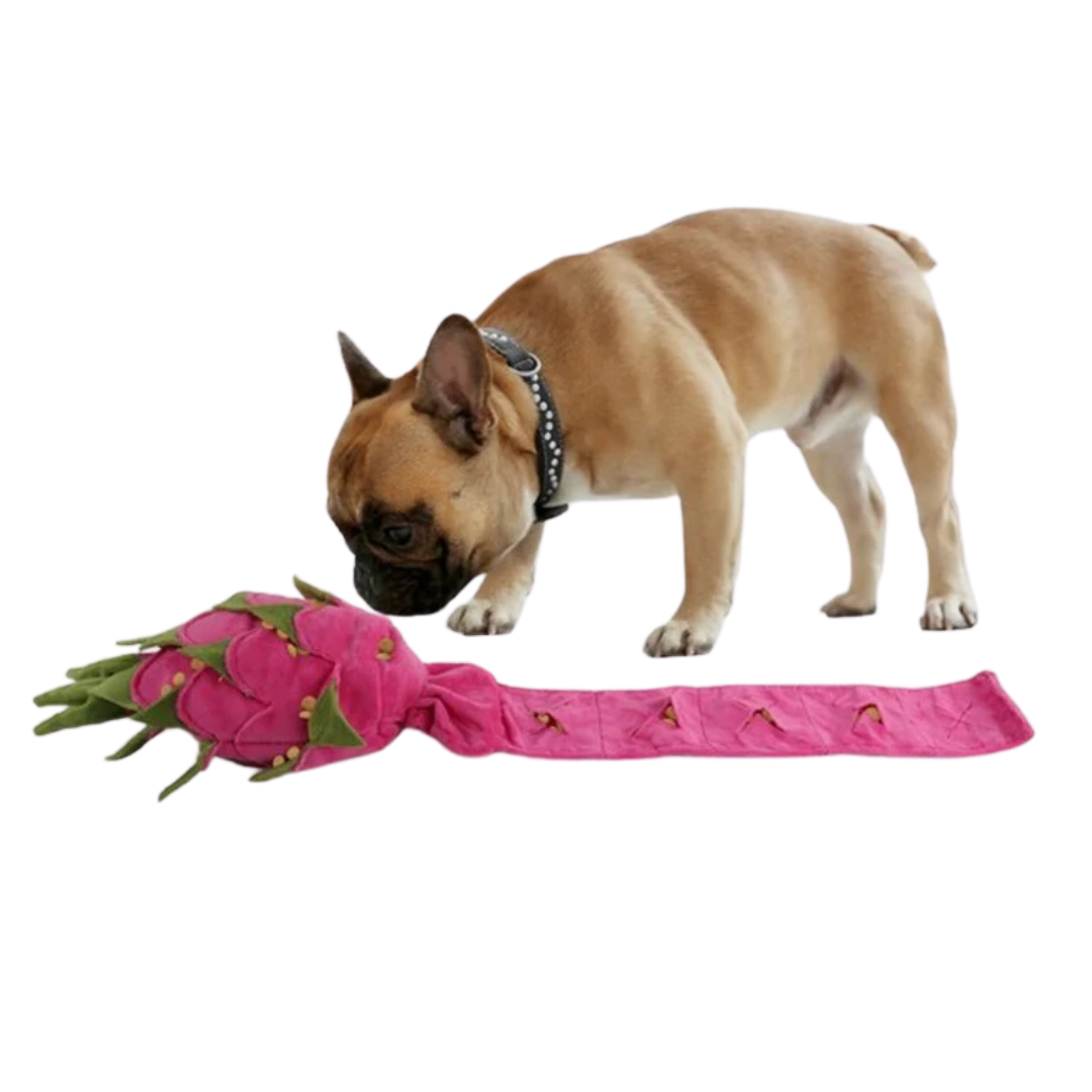 All For Paws Dig It Dragon Fruit Puzzle – Interactive Treat Dispensing ...