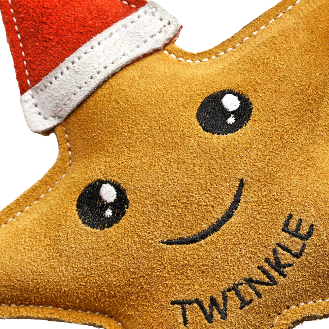 Twinkle the Star | Green & Wilds Eco Dog Toy - Brown's Natural Pet Store