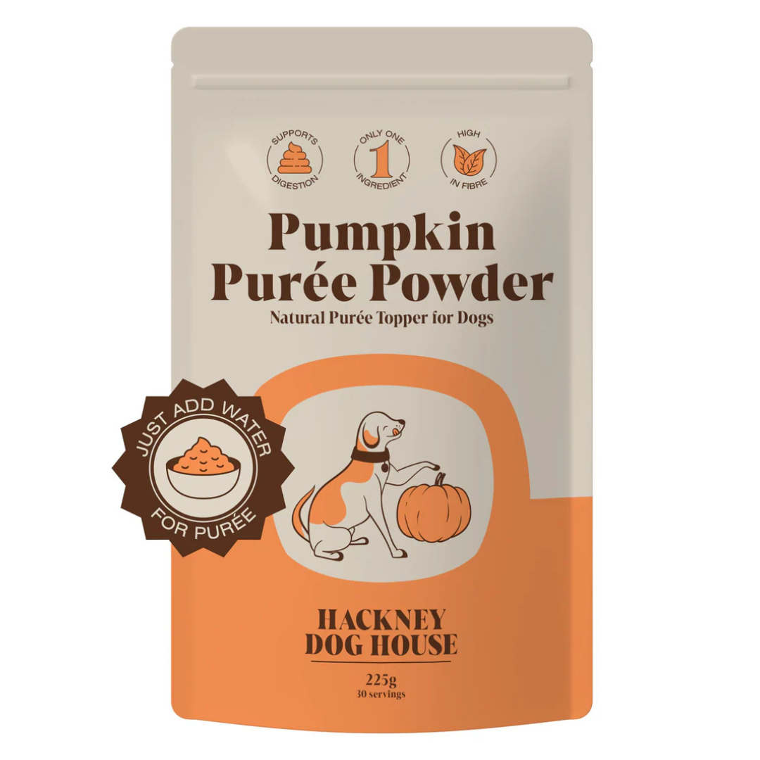 Pumpkin Puree Powder: Boost Dog Digestive Health - Brown's Natural Pet ...