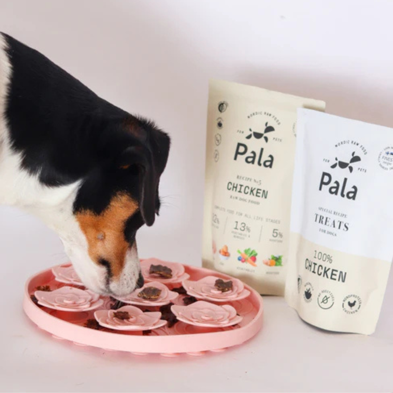 Pala Treats 100% Chicken - Air Dried & Nutritious - Brown's Natural Pet ...