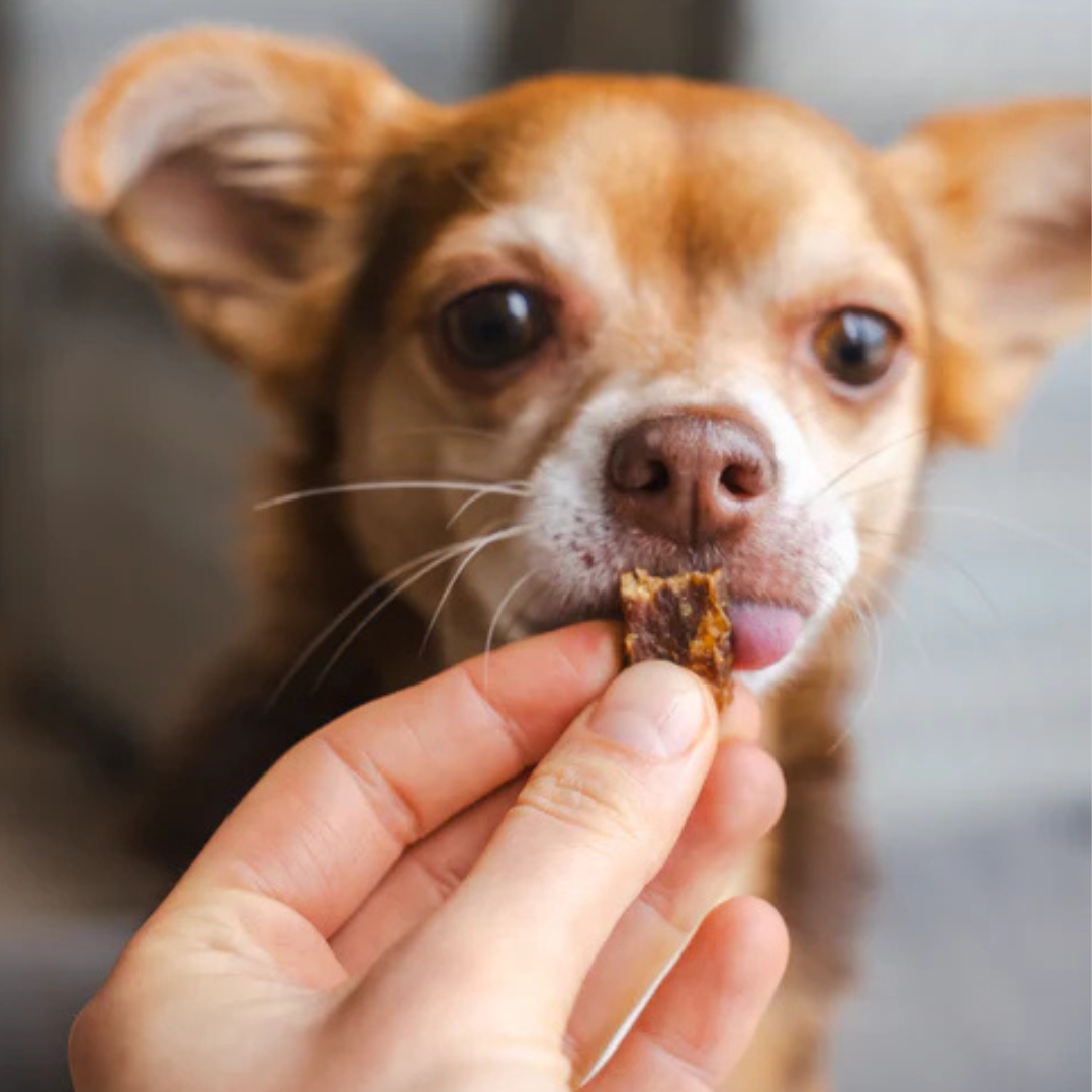 Pala Treats 100% Rabbit - Air Dried Treats for Dogs - Brown's Natural ...