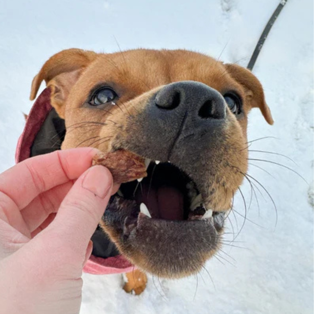 Pala Treats 100% Rabbit - Air Dried Treats for Dogs - Brown's Natural ...