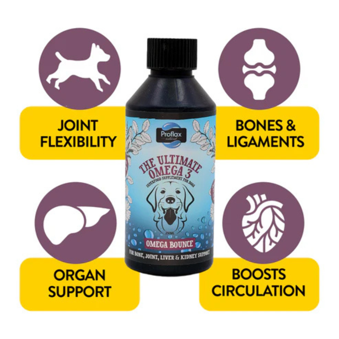 Proflax Omega Bounce Salmon Oil for Dogs' Mobility - Brown's Natural ...