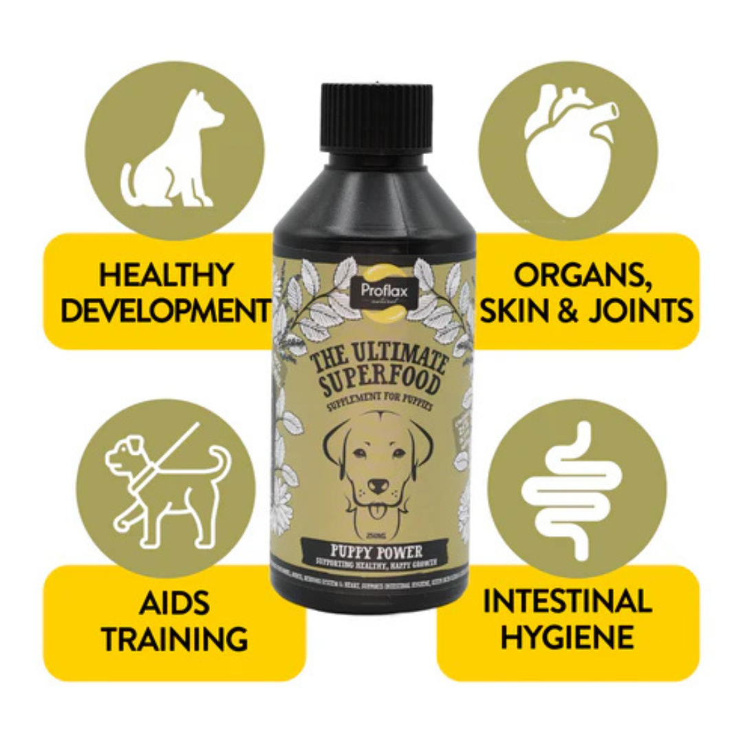Proflax Puppy Power Digestion and Growth Support for Puppies - Brown's ...