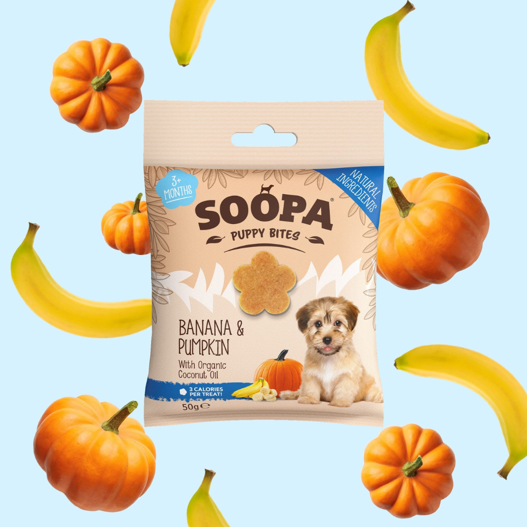 Soopa Banana & Pumpkin Puppy Healthy Bites Treats - Brown's Natural Pet ...