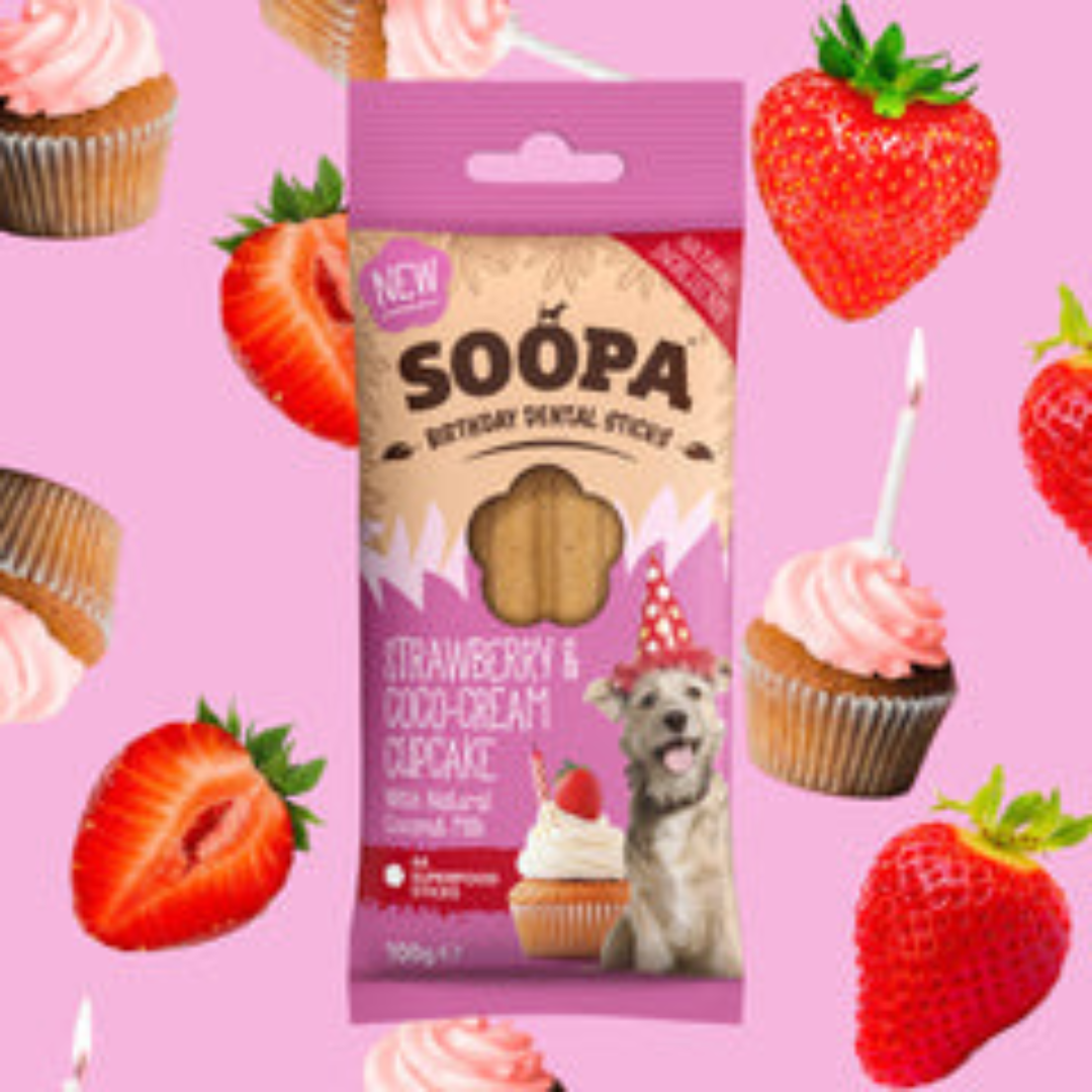 Soopa Superfood Dental Sticks Strawberry & Coco-Cream Cupcake - Nutrit – Brown's Natural Pet Store