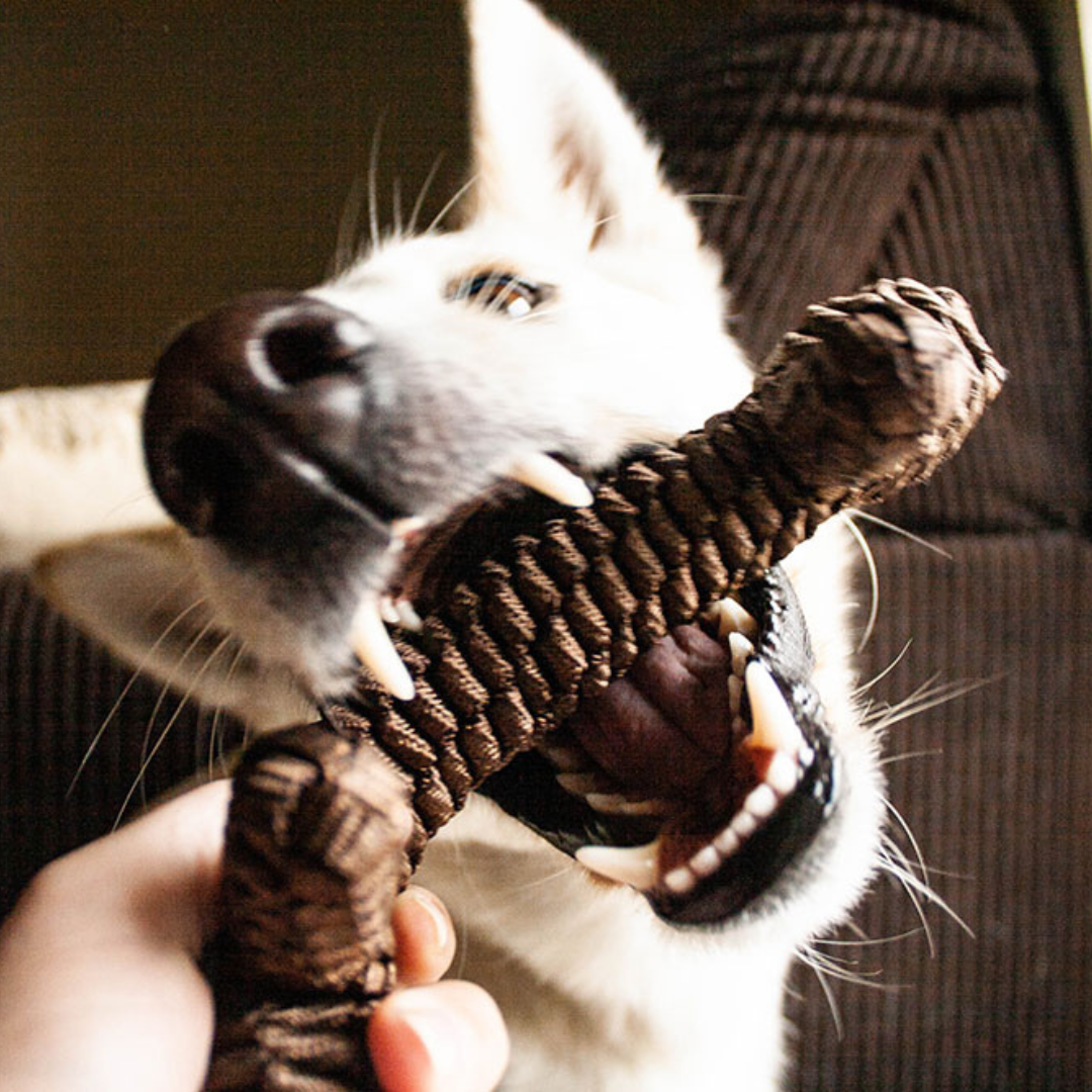 Tail Tails Braided Stick Toy for Active Play Fun - Brown's Natural Pet ...