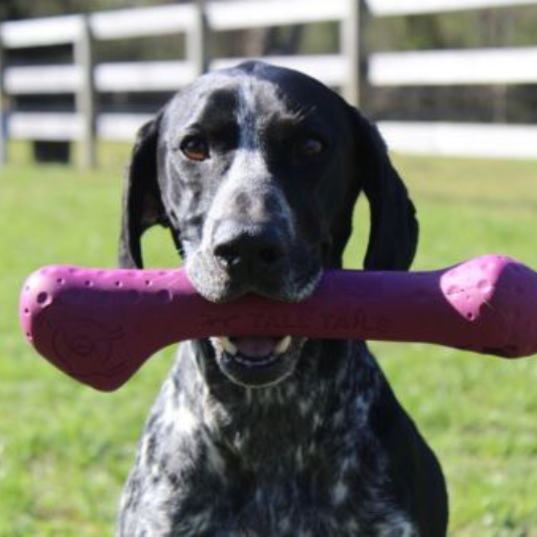 Tall Tails G.O.A.T. Rubber Sport Bone - Durable Treat and Fetch Toy fo ...