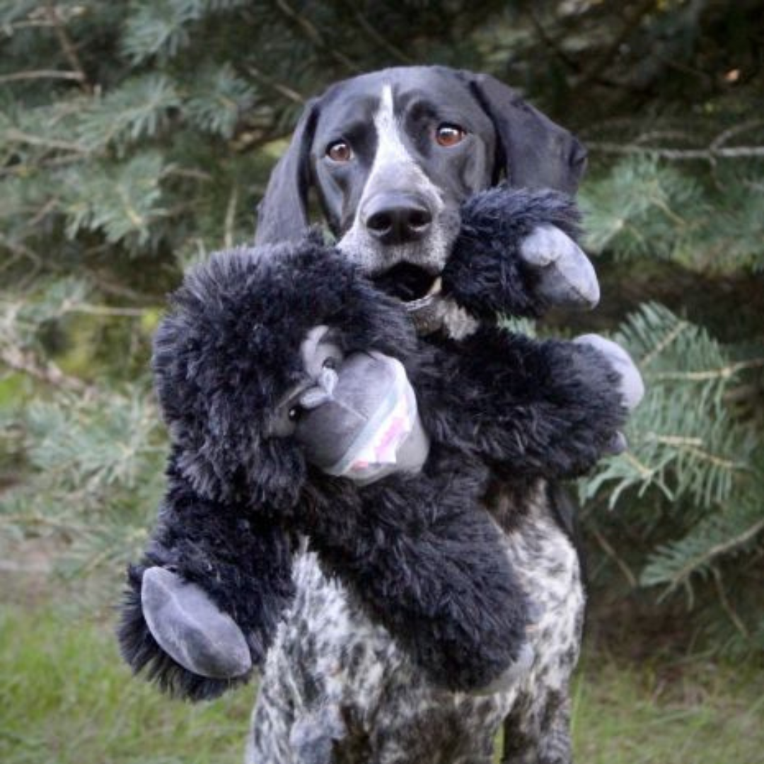 Tall Tails Plush Gorilla with Inner Rope Body - Durable, Squeaky Tug T ...