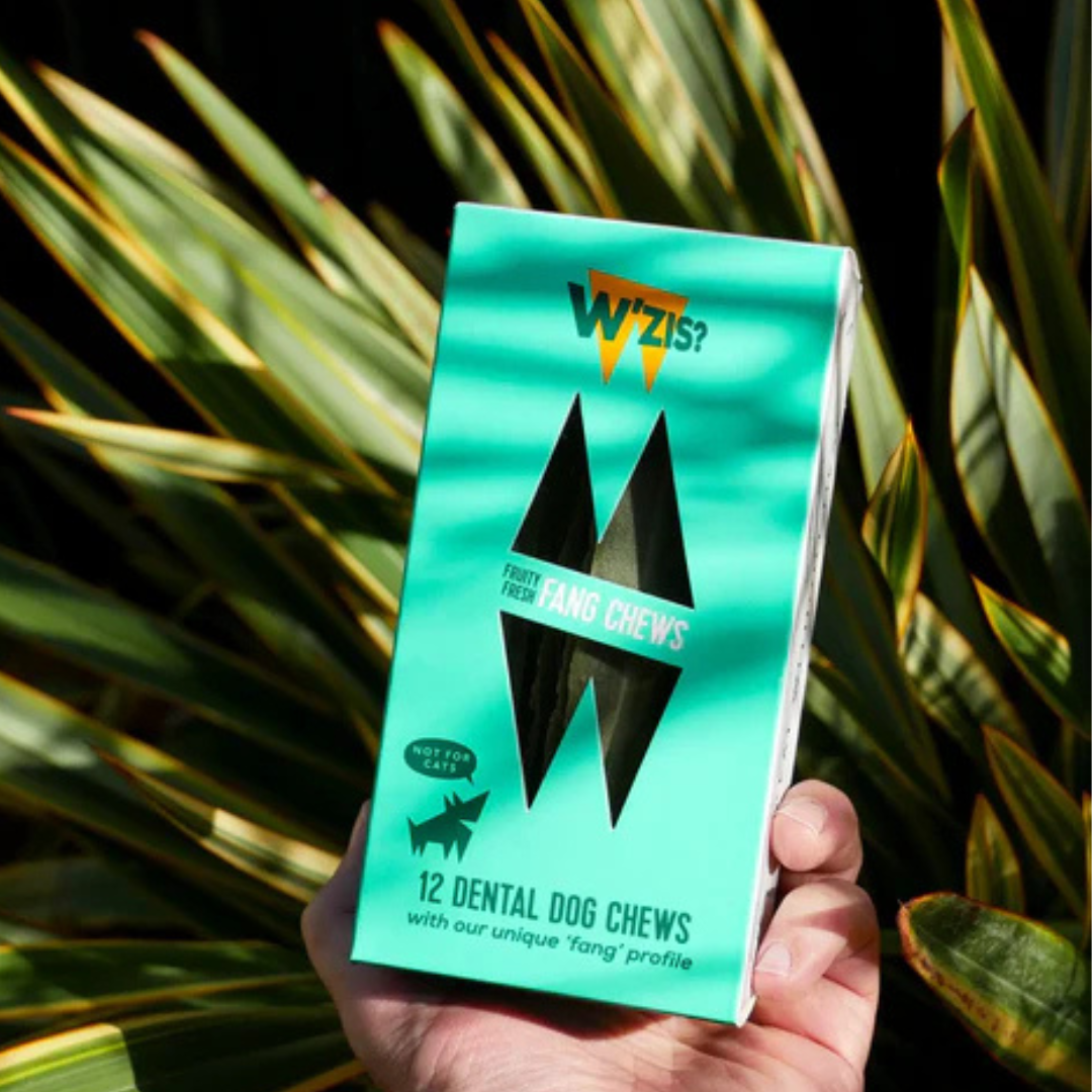 W'zis Fruity Dental Fangs Dental Chews for Dogs - Brown's Natural Pet Store